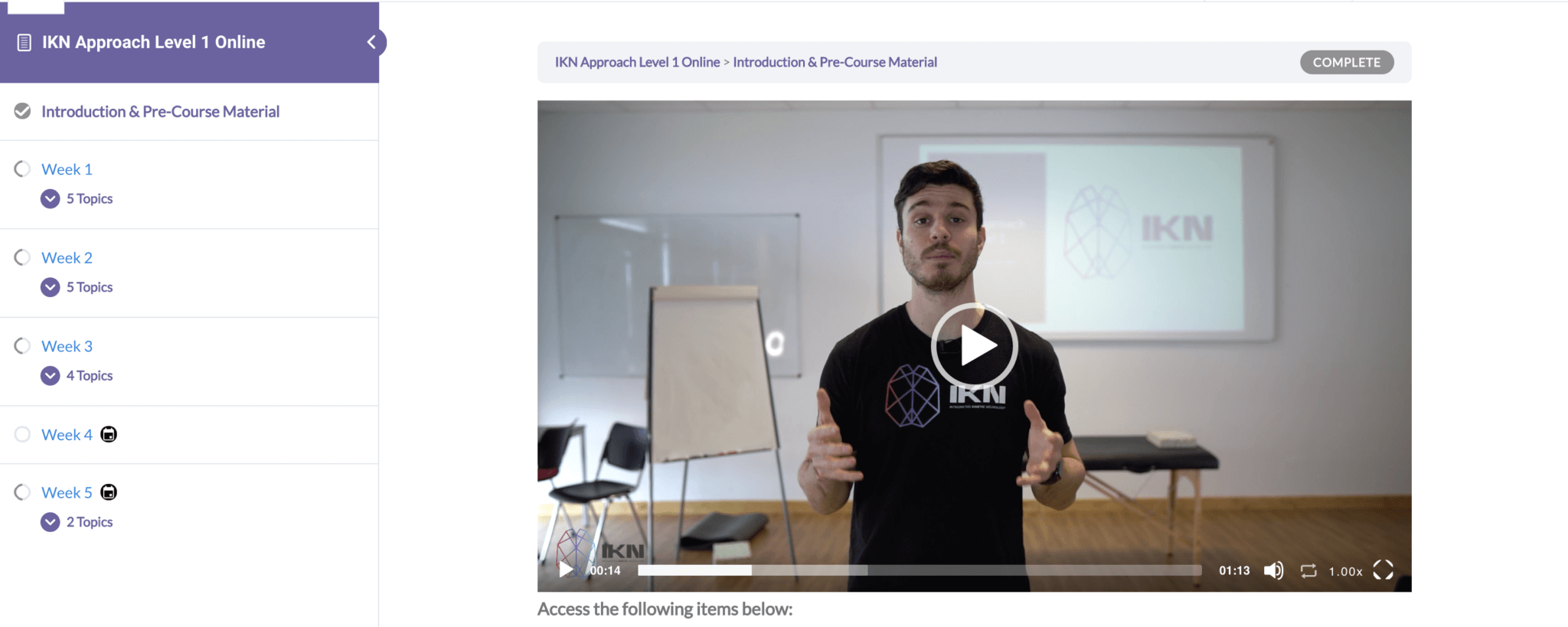 IKN Approach Level 1 Online - Integrated Kinetic Neurology