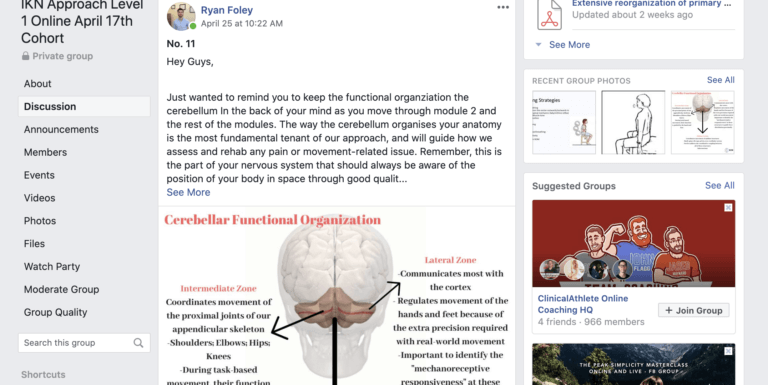 IKN Approach Level 1 Online - Integrated Kinetic Neurology