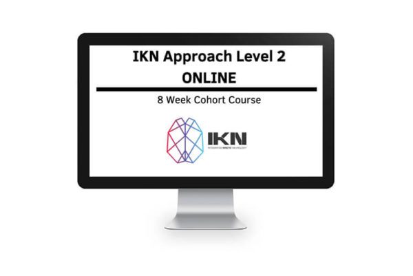 IKN Approach Level 2 Online - Integrated Kinetic Neurology